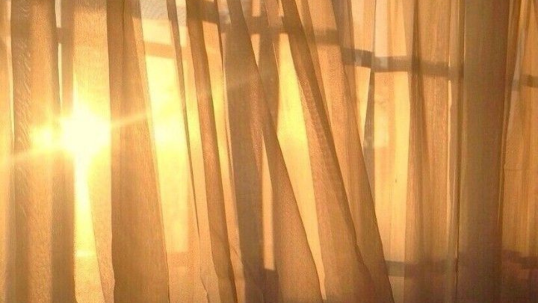 Why derms say broad spectrum SPF is needed everyday – SPOOGE